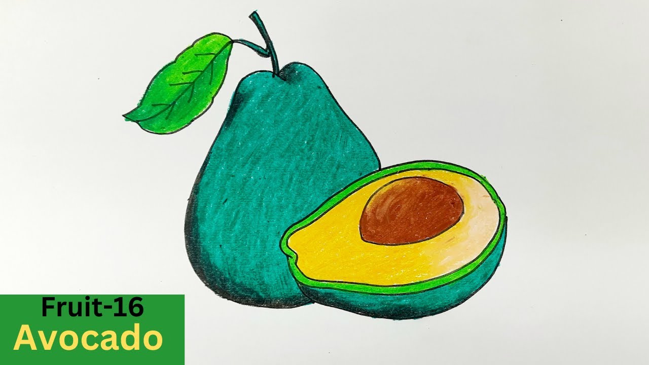 Avocado/ Avocado drawing/ how to draw avocado/ easy Fruit drawing ...