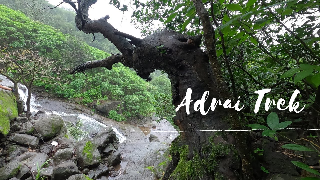 Aadrai Jungle Trek| Monsoon Weekend Getaway | Treks and Trails - YouTube