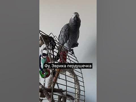 Коротко и понятно - YouTube