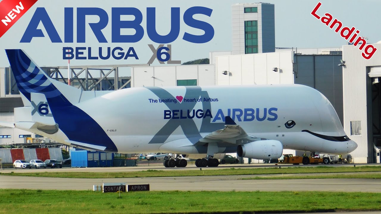 The 6th and Final AIRBUS BELUGA XL6 /2024/ (Airbus A330-743L) # ...