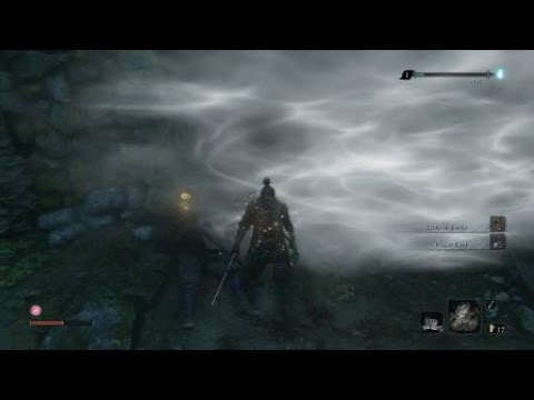 Sekiro™: Shadows Die Twice vs Lone shadow swordsman - YouTube