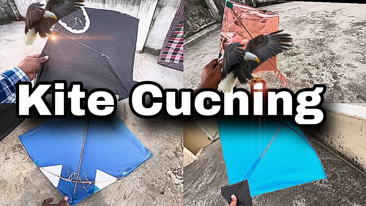 Kite Catching | Kite Looting From Terrace | Caught Kites 😱 - YouTube