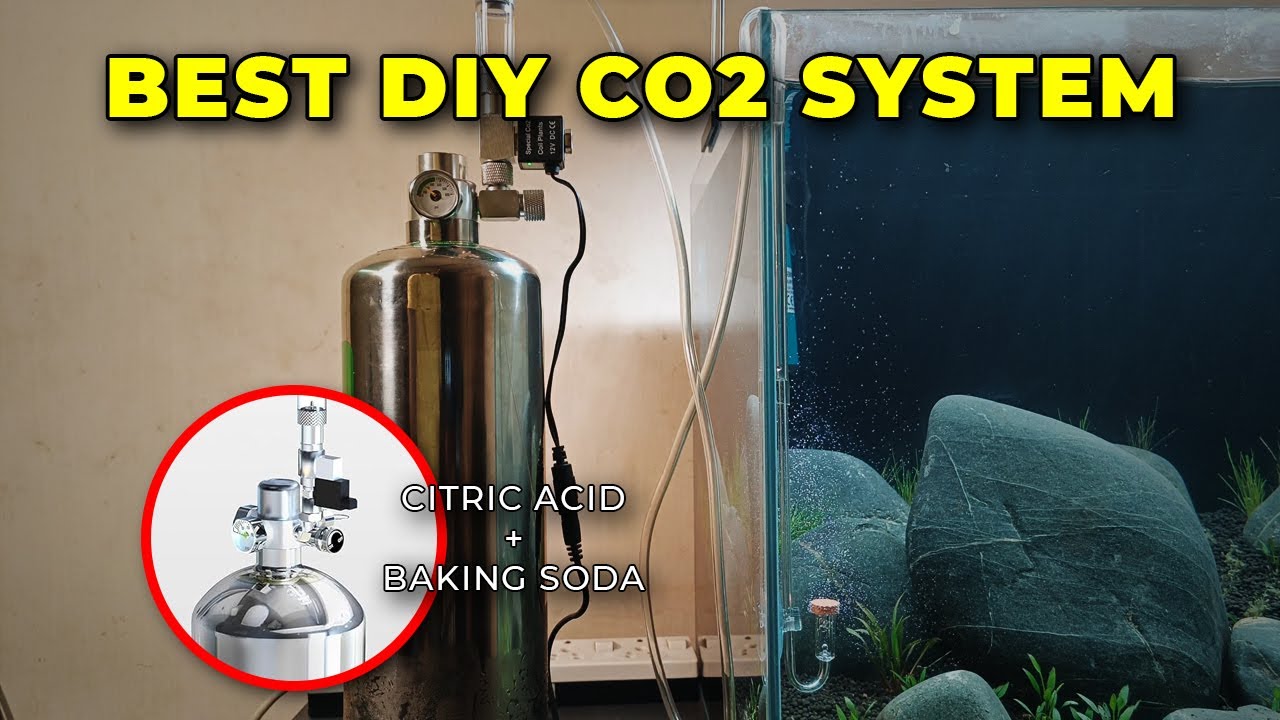 Best DIY CO2 Generator Kit for Baking Soda + Citric Acid Method " UNBOXING & INSTALLATION" - YouTube