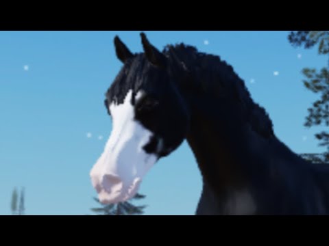 Your birth month your stridway horse (part 2) - YouTube