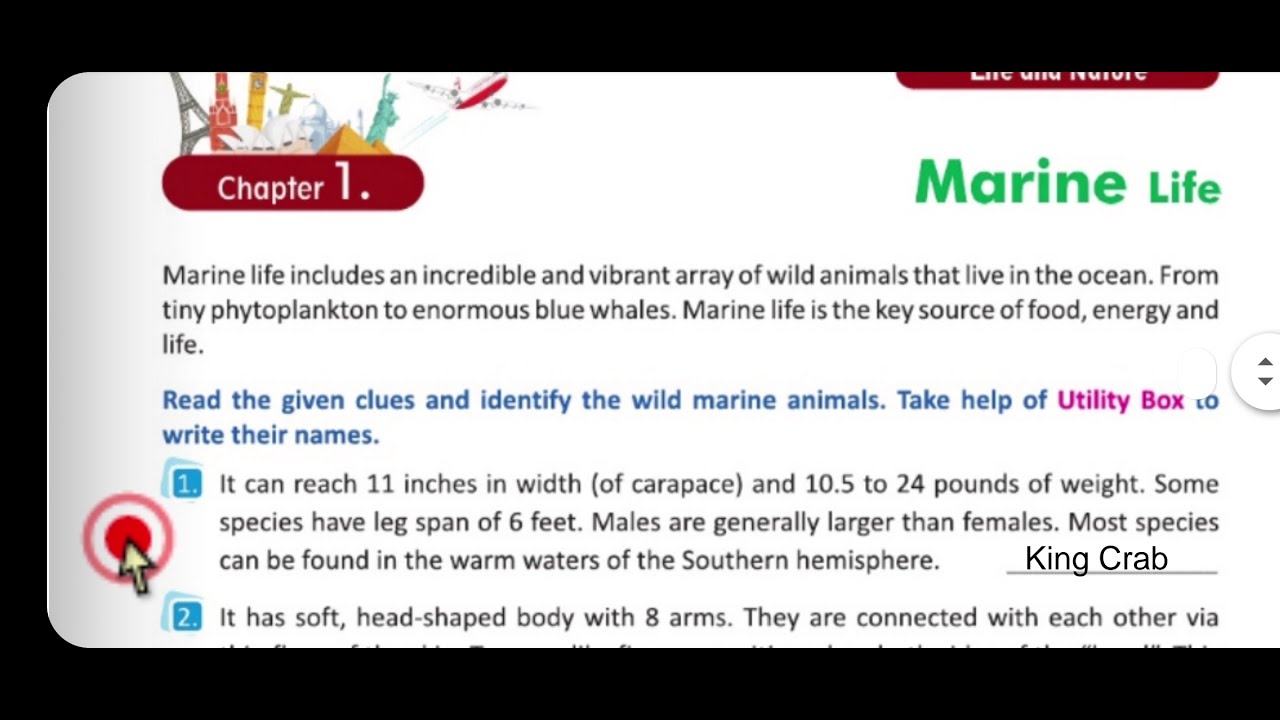 Neo GK Hub Class 8th Chapter 1 Marine Life YouTube neo-gk-hub-class-8th-chapter-1-marine-life-youtube