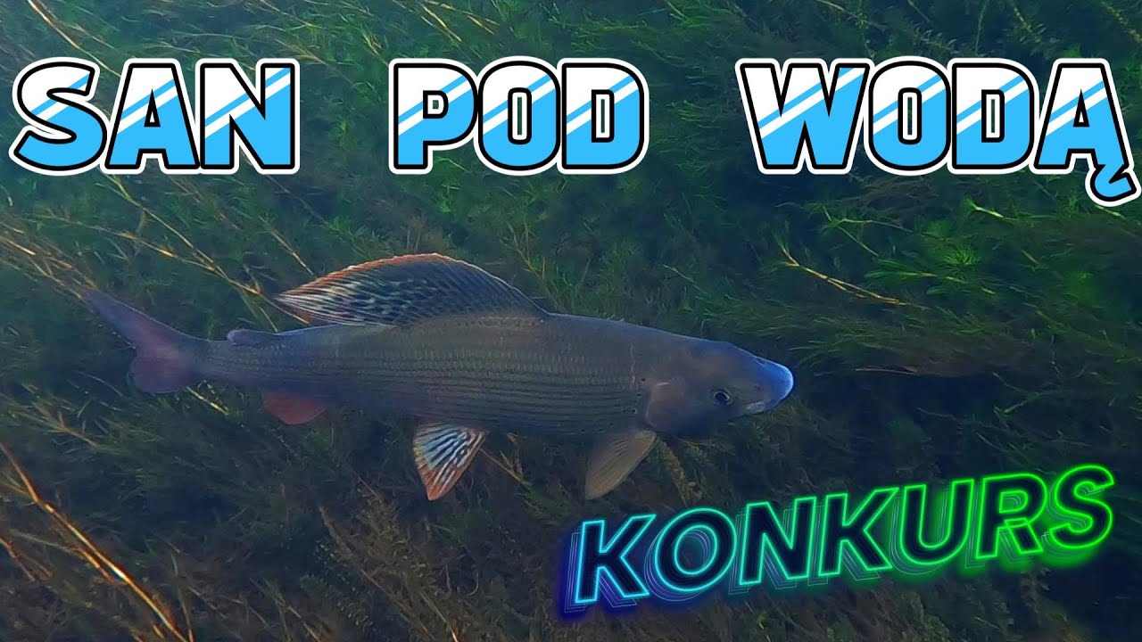 San pod wodą || ujęcia podwodne || konkurs || OS San #traper - YouTube