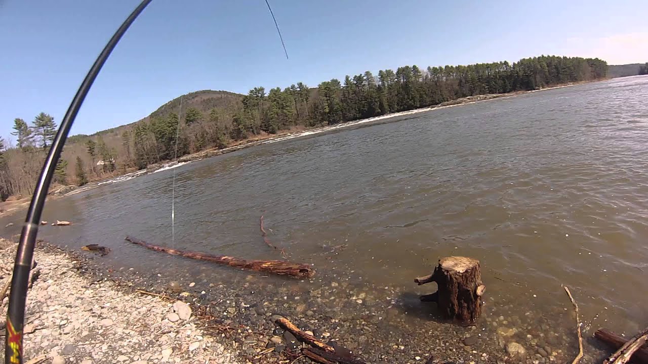 Connecticut river pike - YouTube