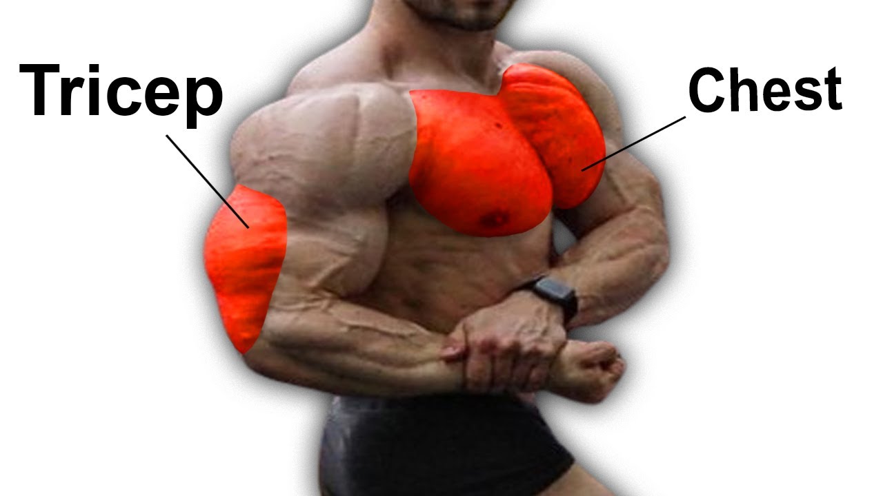 Chest and Tricep Workout at Gym for Muscles Growth - chest tricep - YouTube