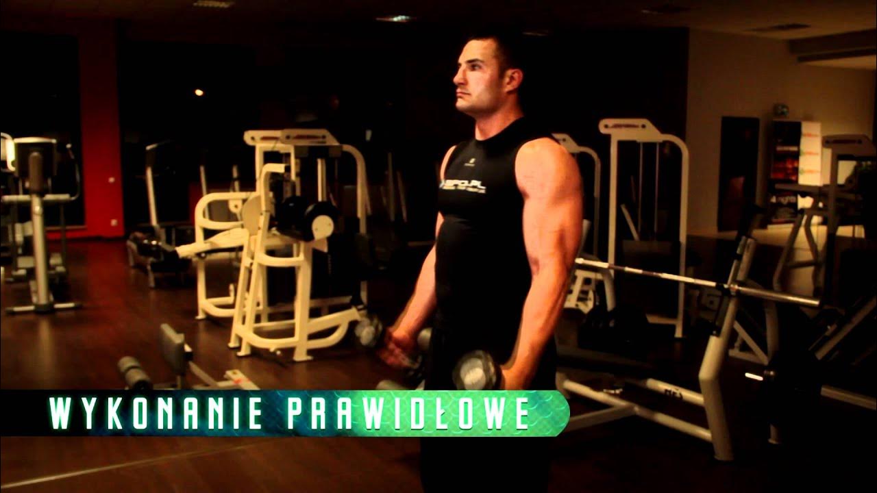 Trening bicepsów - uginanie przedramion supinacją ze sztangielkami, stojąc - Atlas Ćwiczeń SFD ...