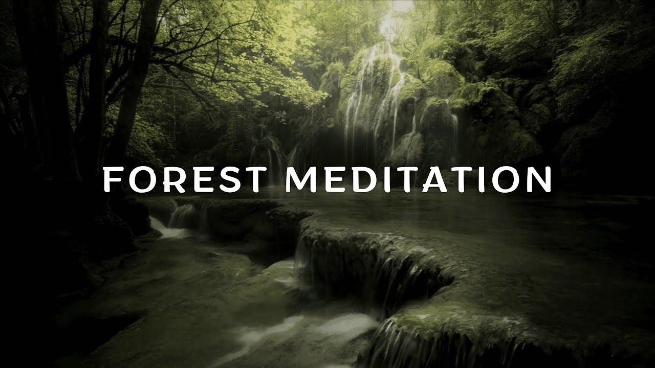 Meditation in the Forest: Serene Waterfall and Nature Sounds for Stress ...