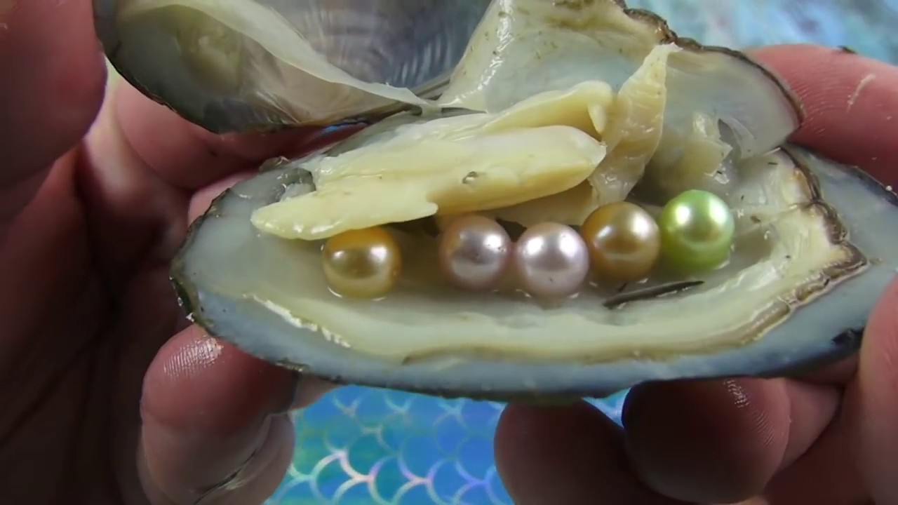 EASTER EGG PEARLS...DIG IT KITS.... TREASURE HUNTER - YouTube