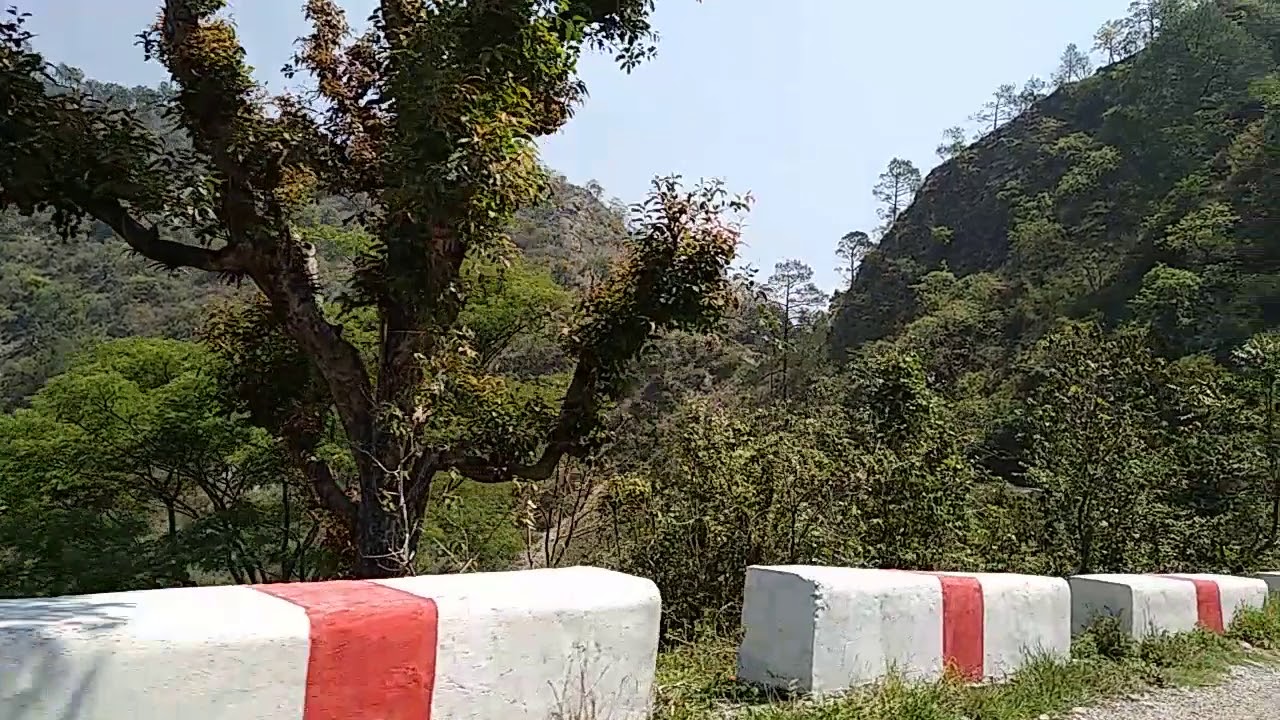 PARTH NEGI ON ROUTE OF Ranikhet to Ramnagar - YouTube