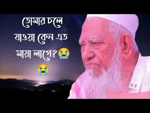 হাজার লাশের ভীড়ে, তোমার দেহটা কেন এত মায়া মায়া লাগে!!Islamic singer Mahfuzur Rahman! hossaini tv