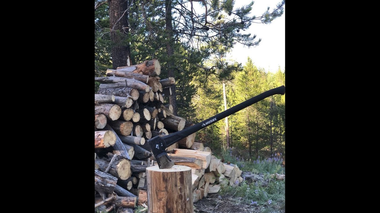 Collecting Wood, Tree Chopping, and Story Time - YouTube