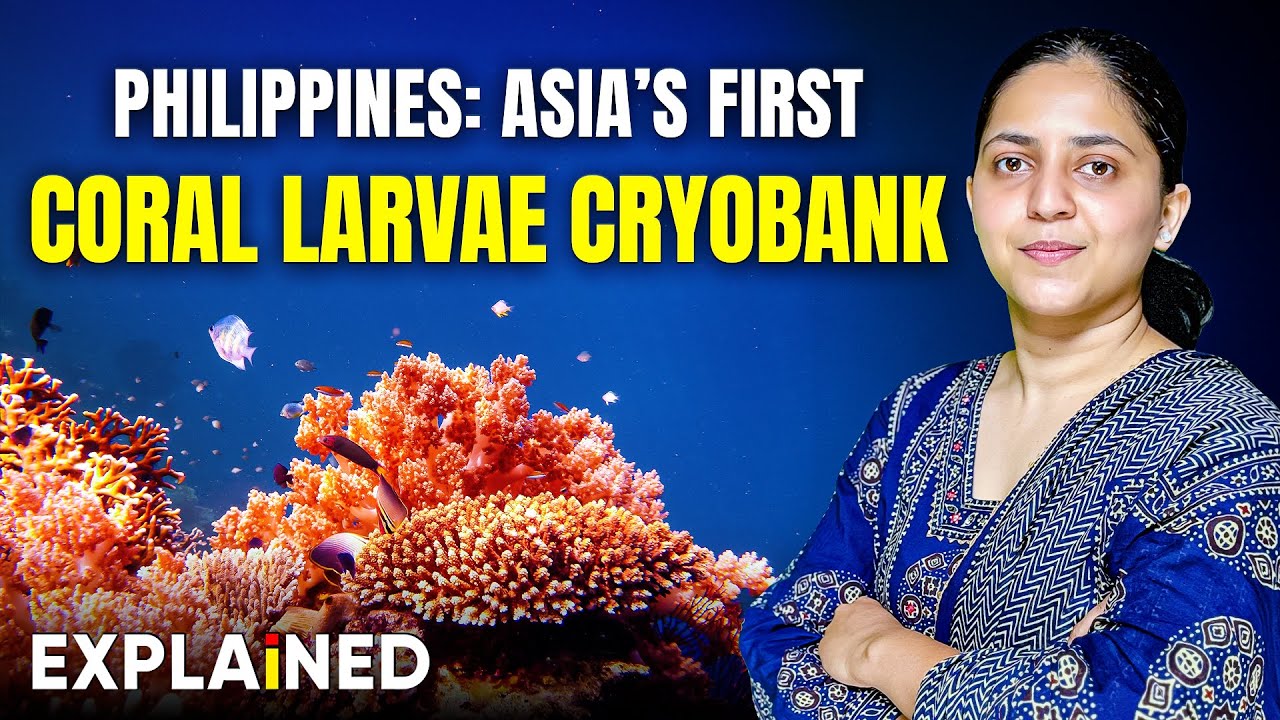 Philippines: Asia’s First Coral Larvae Cryobank | A New Hope for Reefs ...