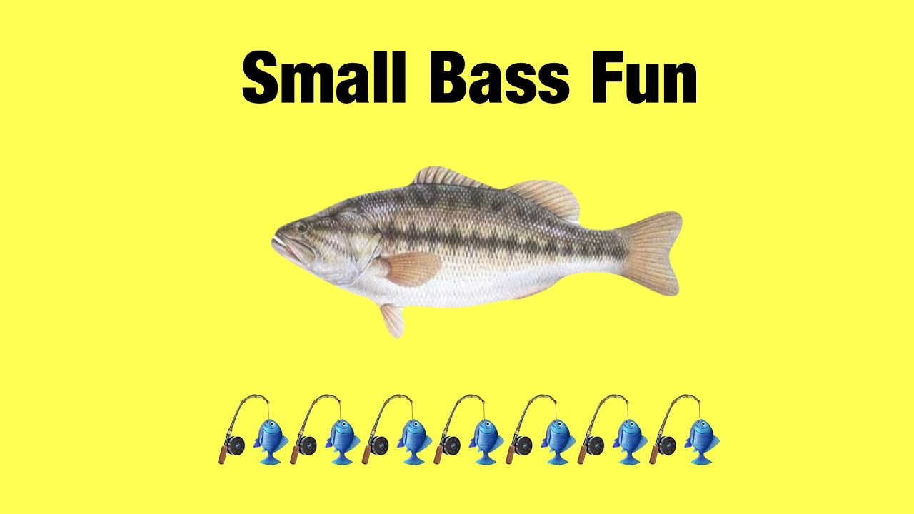 🎣 Small Bass Fun 🎉 - YouTube