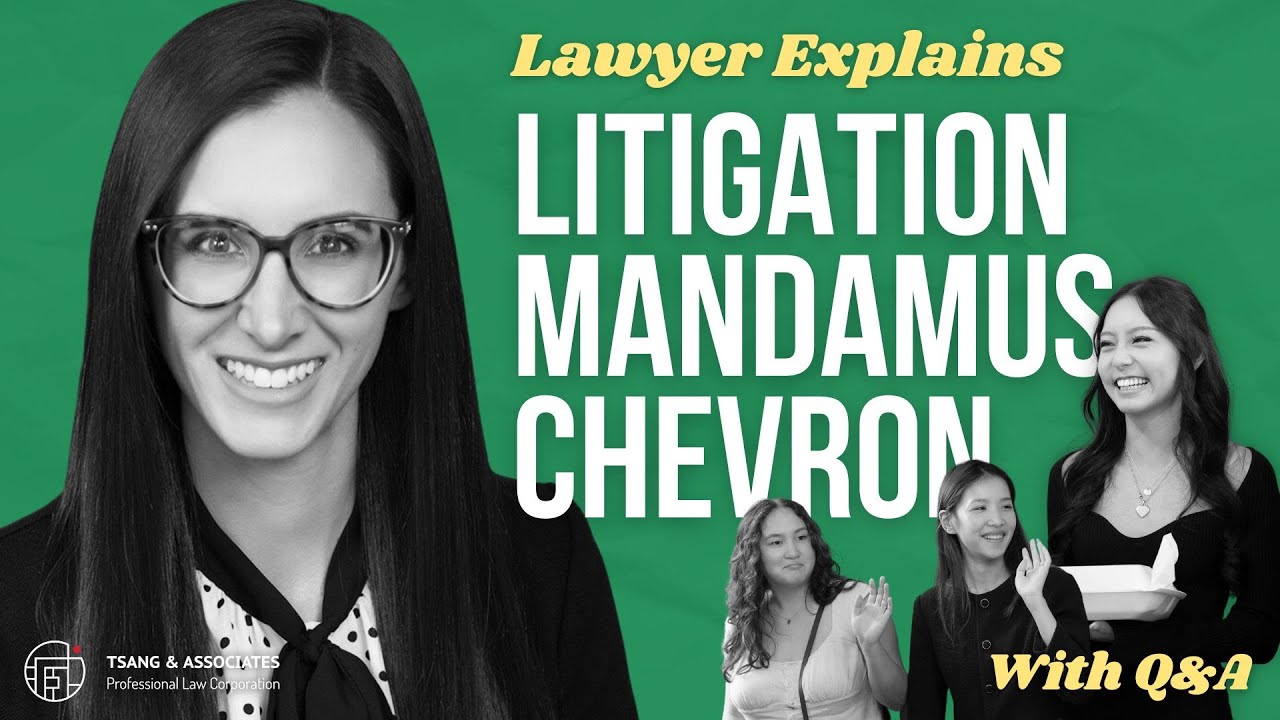 Hold the Government Accountable: Immigration Litigation with Megan ...