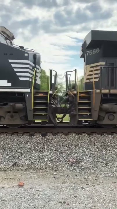 NS 8143 NS 4809 NS 3618 NS 7586 - YouTube