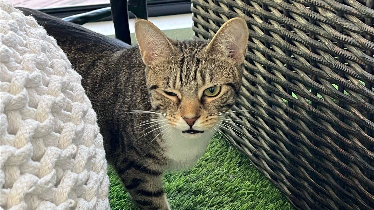 RANK RELOAD - YouTube