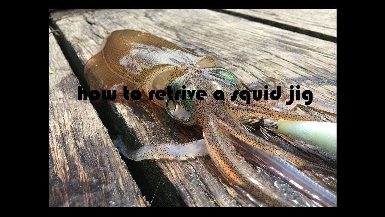 how to retrieve a squid jig - YouTube