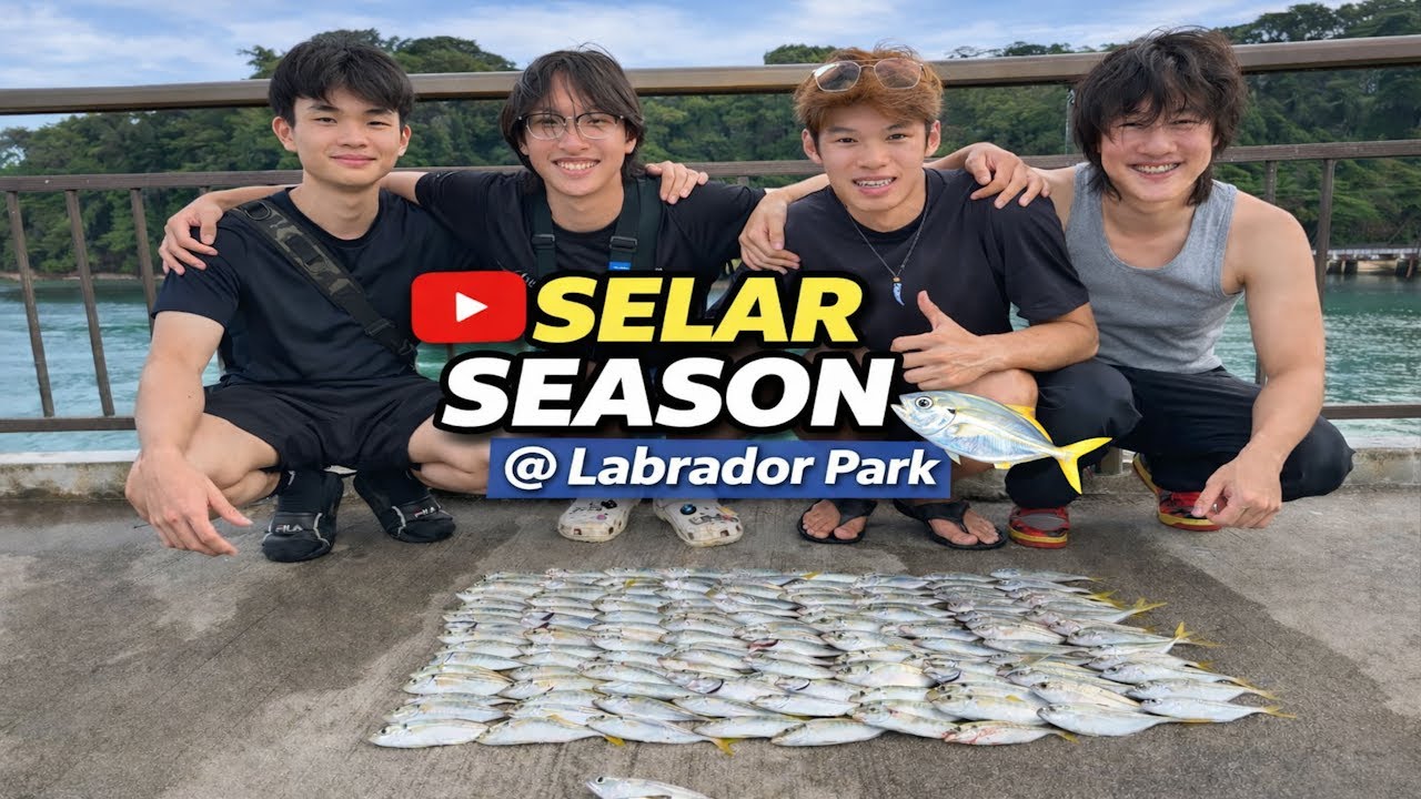 Selar Season @ Labrador Park Jetty | Ajing Fishing あじ 釣り - YouTube