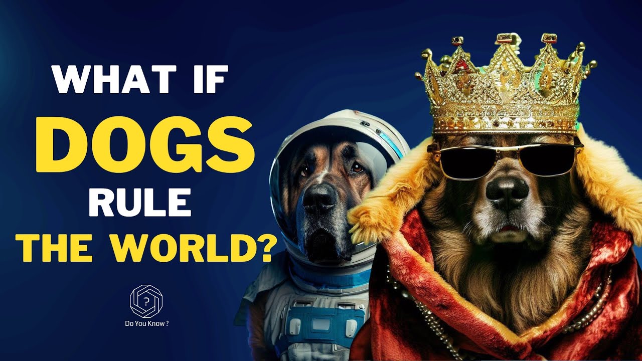 what if dogs rule the our world - YouTube