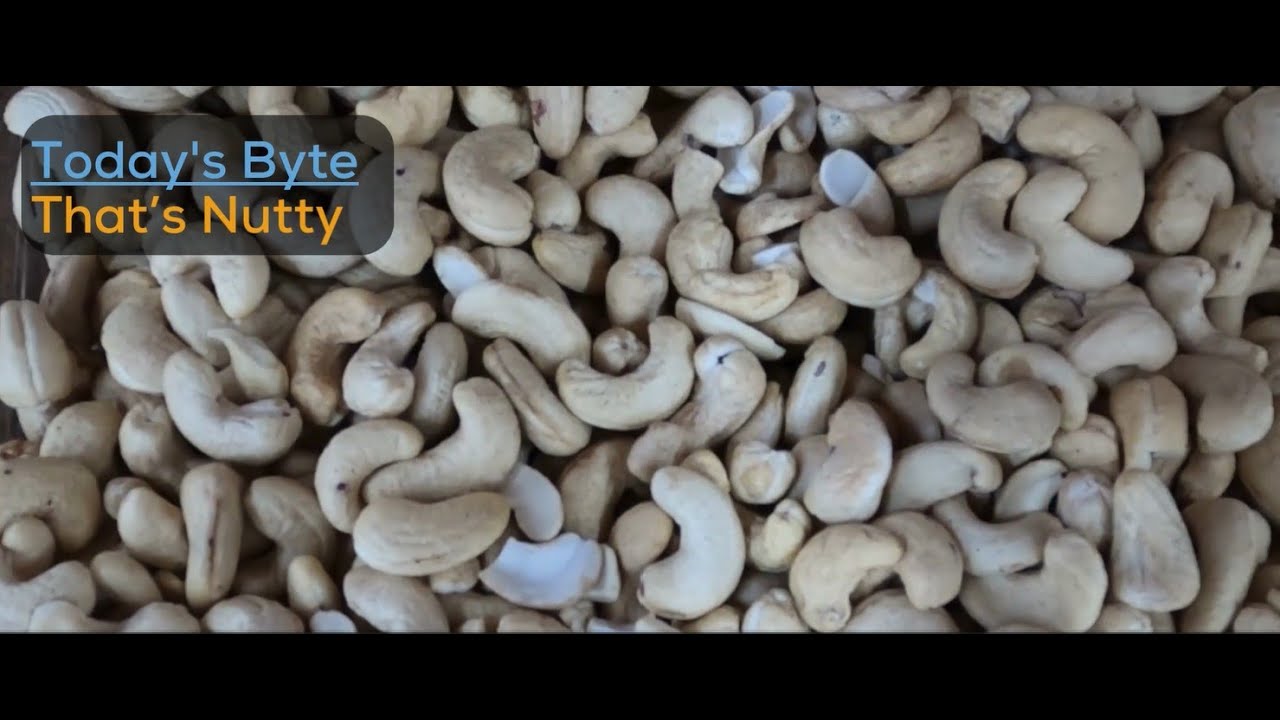 WellWell 365 -That’s Nutty - YouTube