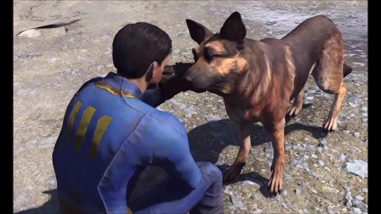 "The Last Dog" - YouTube