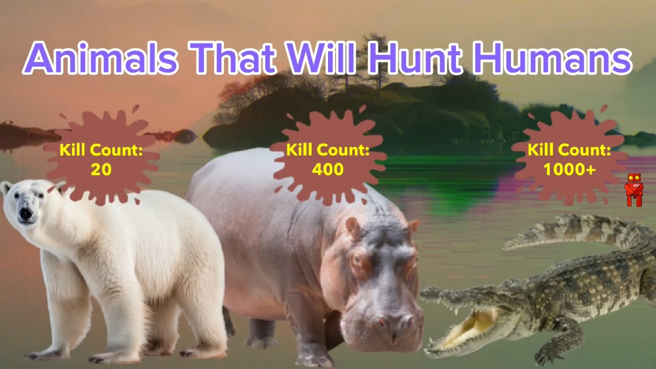 Human Predators, Animals That Man Should Still Fear - YouTube