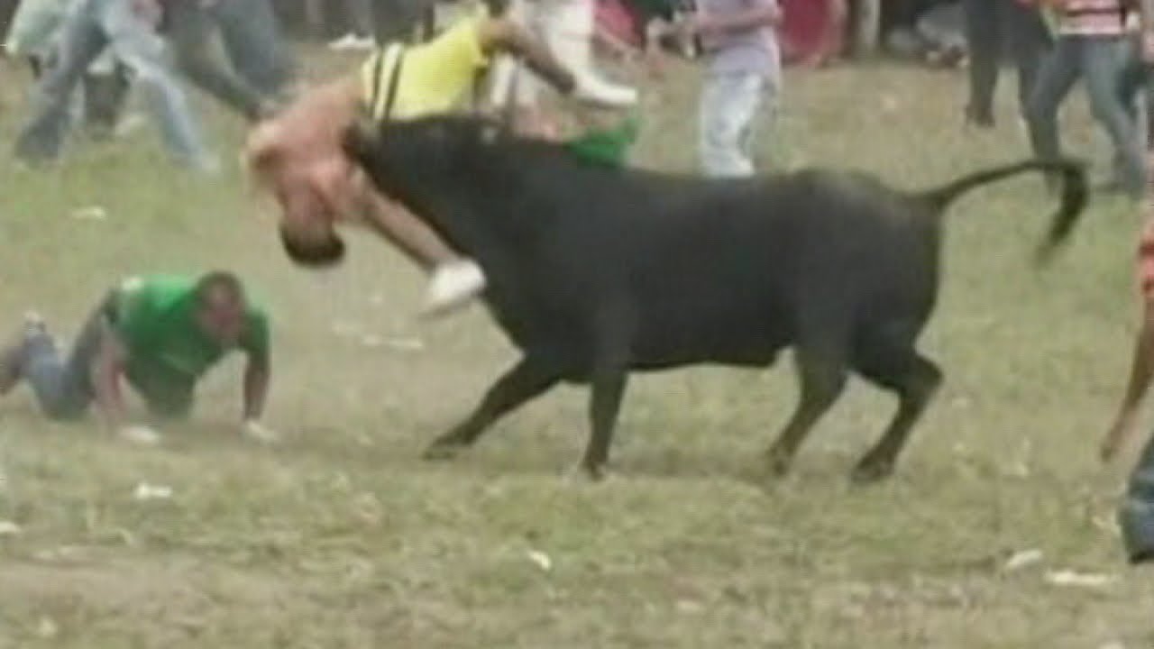 Graphic video: Two men killed during bullfight in Colombia - YouTube