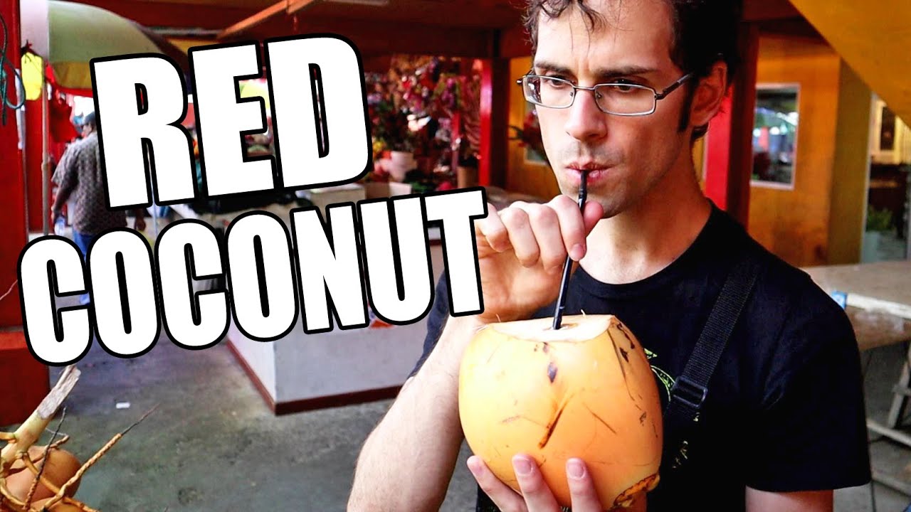 RED COCONUT Review (Cocos nucifera) - Weird Fruit Explorer - YouTube