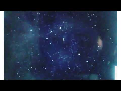 Tamila Eldarkhanova 2020