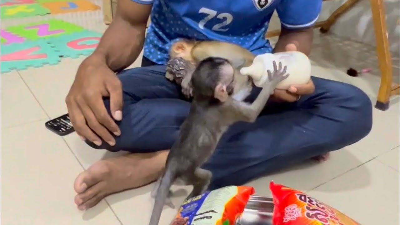 Ah Liza and bobo after played out they got some milks for drink from ...