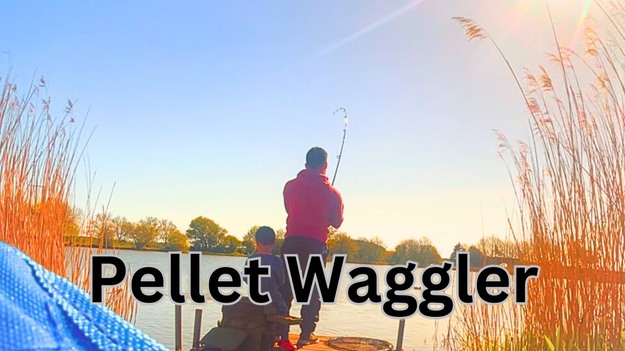 Pellet waggler fishing for Carp - YouTube