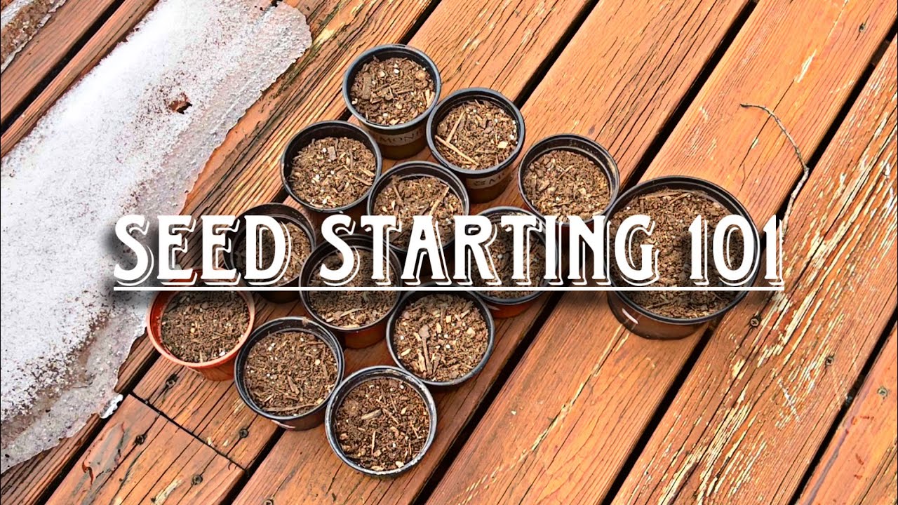 Seed Starting 101 - YouTube