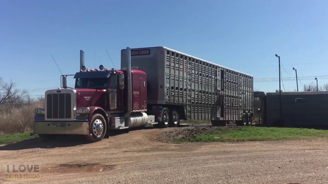 Getting the trailer washed out - YouTube