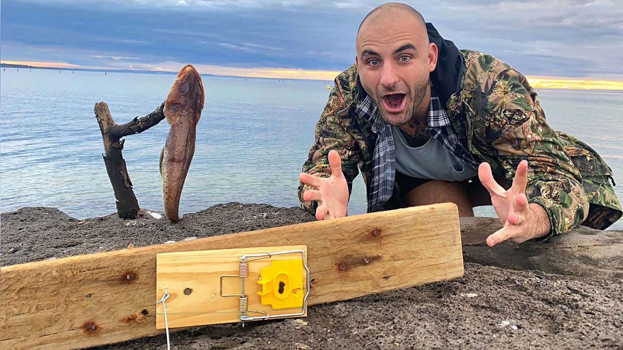 How to catch fish with a rat trap - YouTube