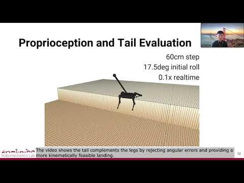 Proprioception and Tail Control Enable Extreme Terrain Traversal by Quadruped Robots ...