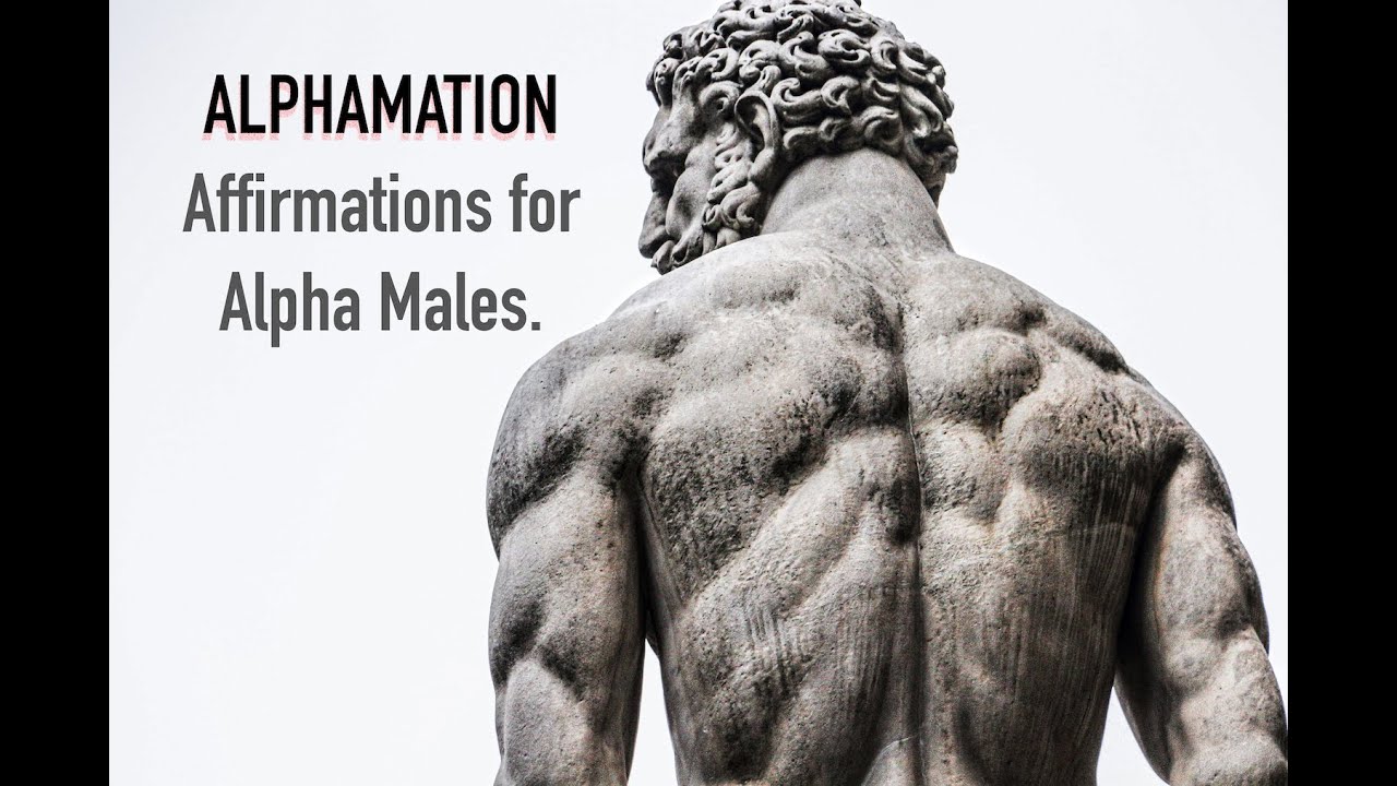 Alphamation - Affirmations for Alphamales - YouTube