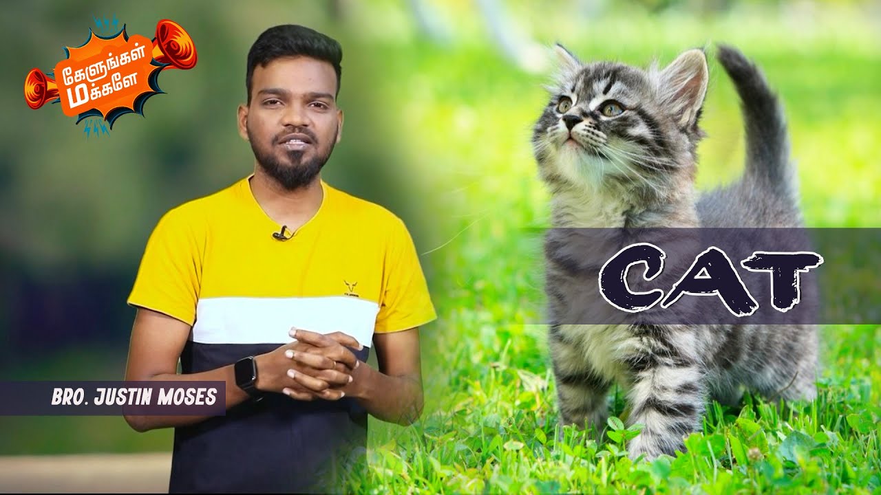 கேளுங்கள் மக்களே || CAT || KELUNGAL MAKKALE || BRO. JUSTIN MOSES - YouTube