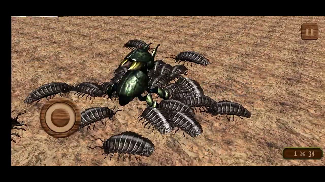 Alien beetle vs Pill bugs - YouTube