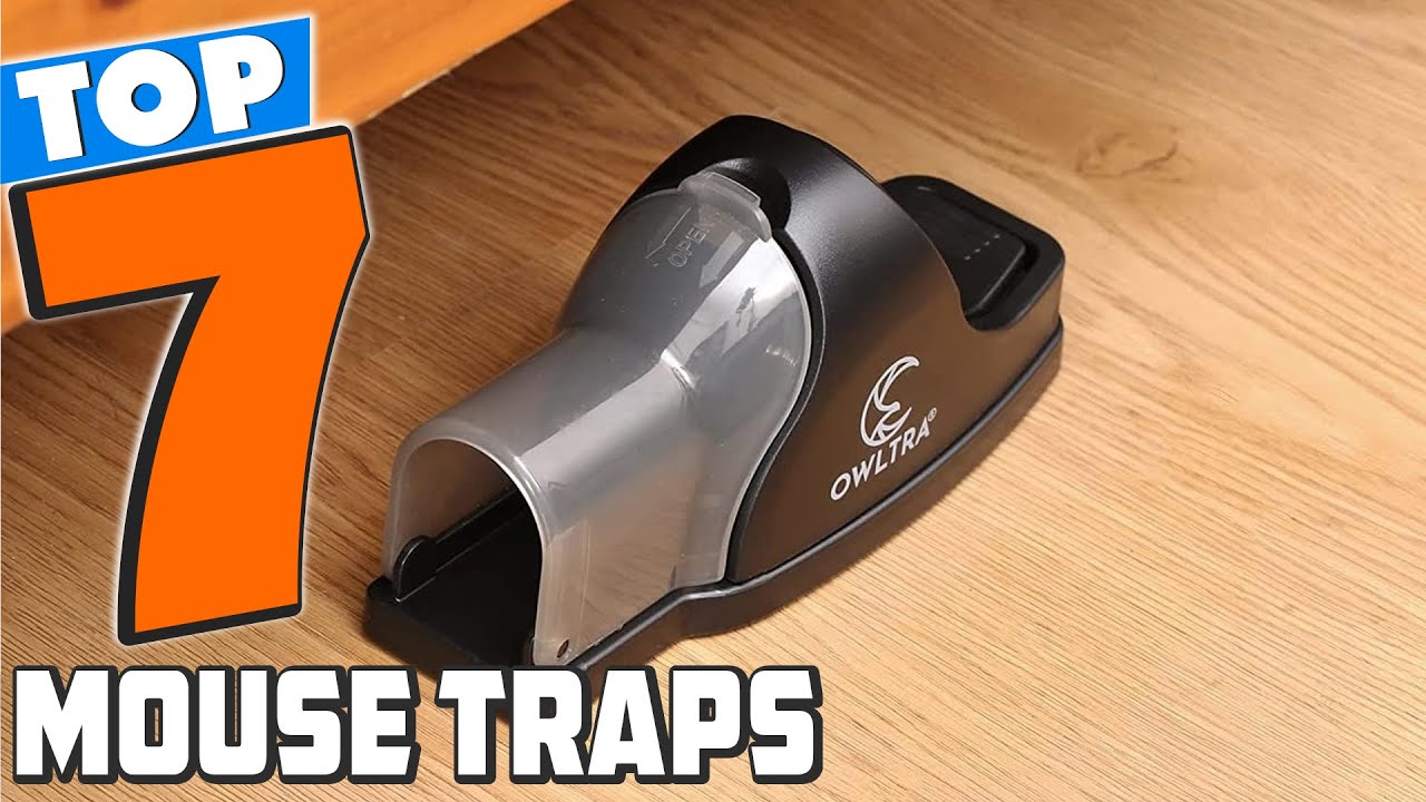 Top Mouse Traps for Every Need: Electric, Snap, & Glue Board Solutions - YouTube
