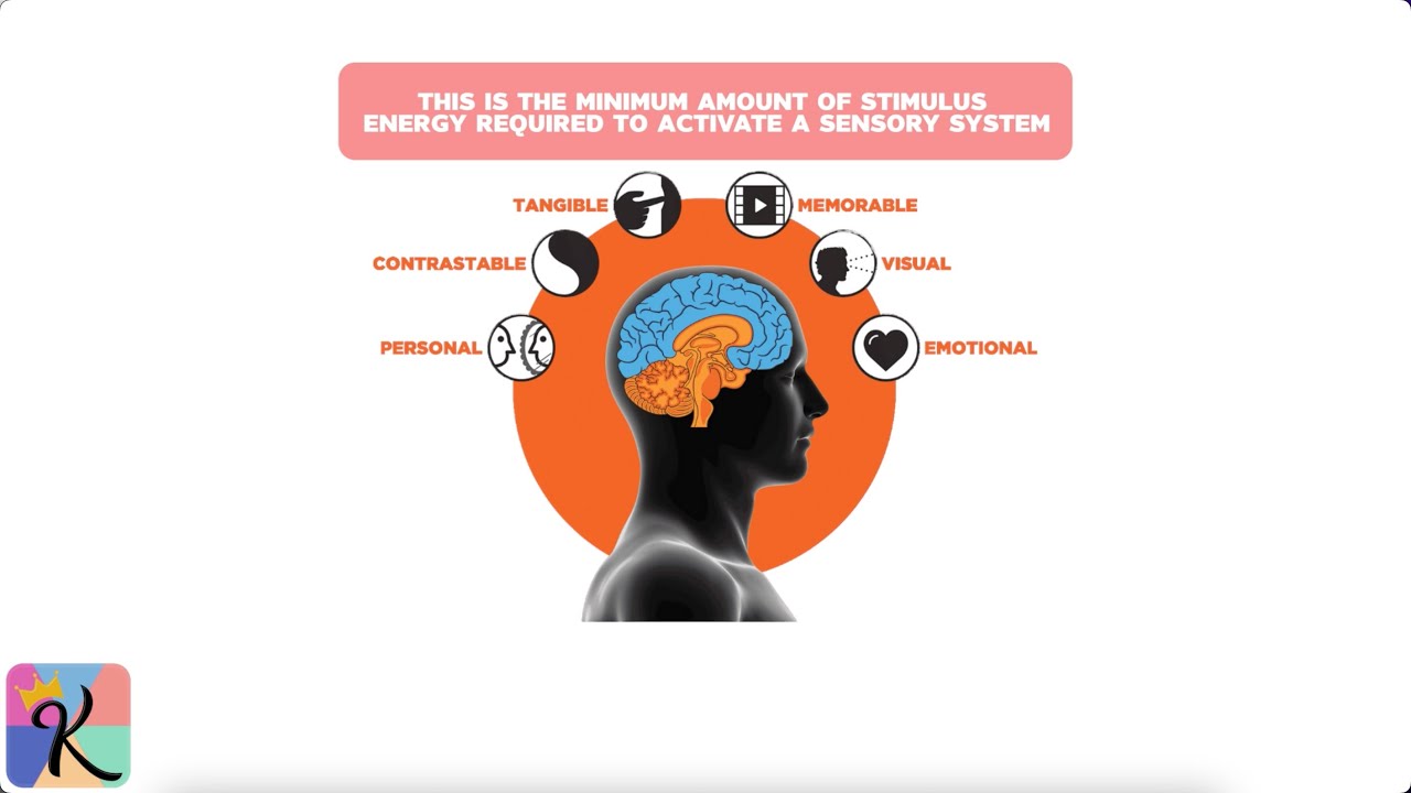Understanding Thresholds in Sensation and Perception – Absolute ...