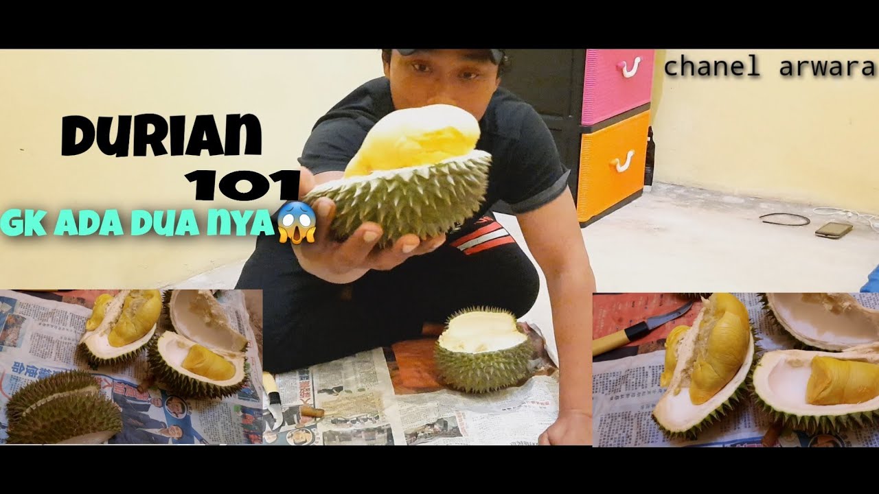 Ajip... rasa durian 101 emang gk ada dua nya....mantap..!!! || chanel arwara || - YouTube