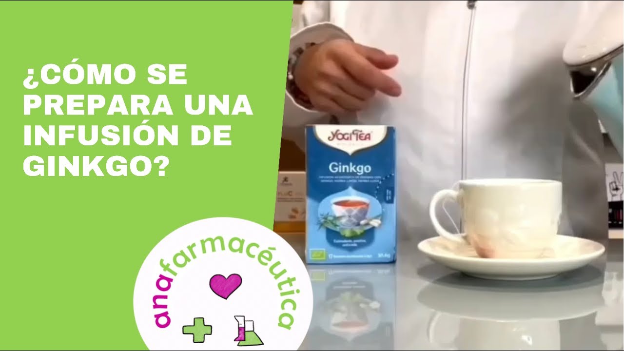 ¿Cómo se prepara una infusión de Ginkgo? - YouTube