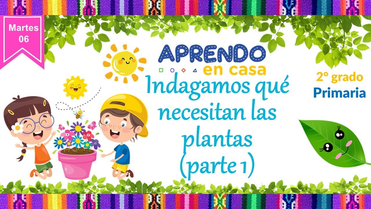 Indagamos qué necesitan las plantas (parte1) - Aprendo en casa- Maestra ...