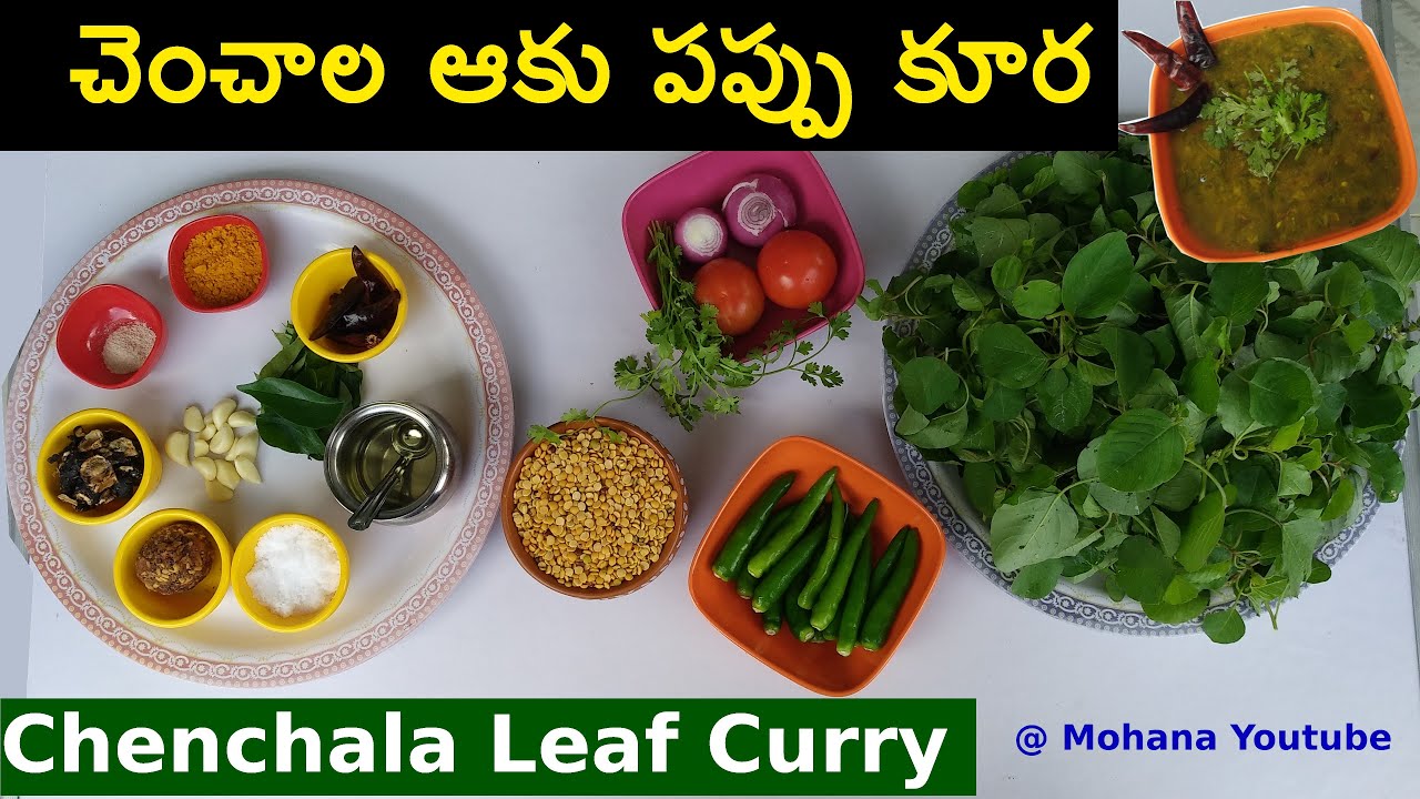 Chanchala Curry in Telugu | చెంచల కూర | Chanchala Kura | Chanchala ...