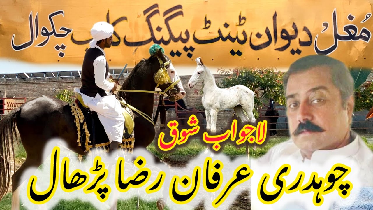 Best Desi horse 🐴 king of Parhal | Ch Irfan parhal ka shoq - YouTube