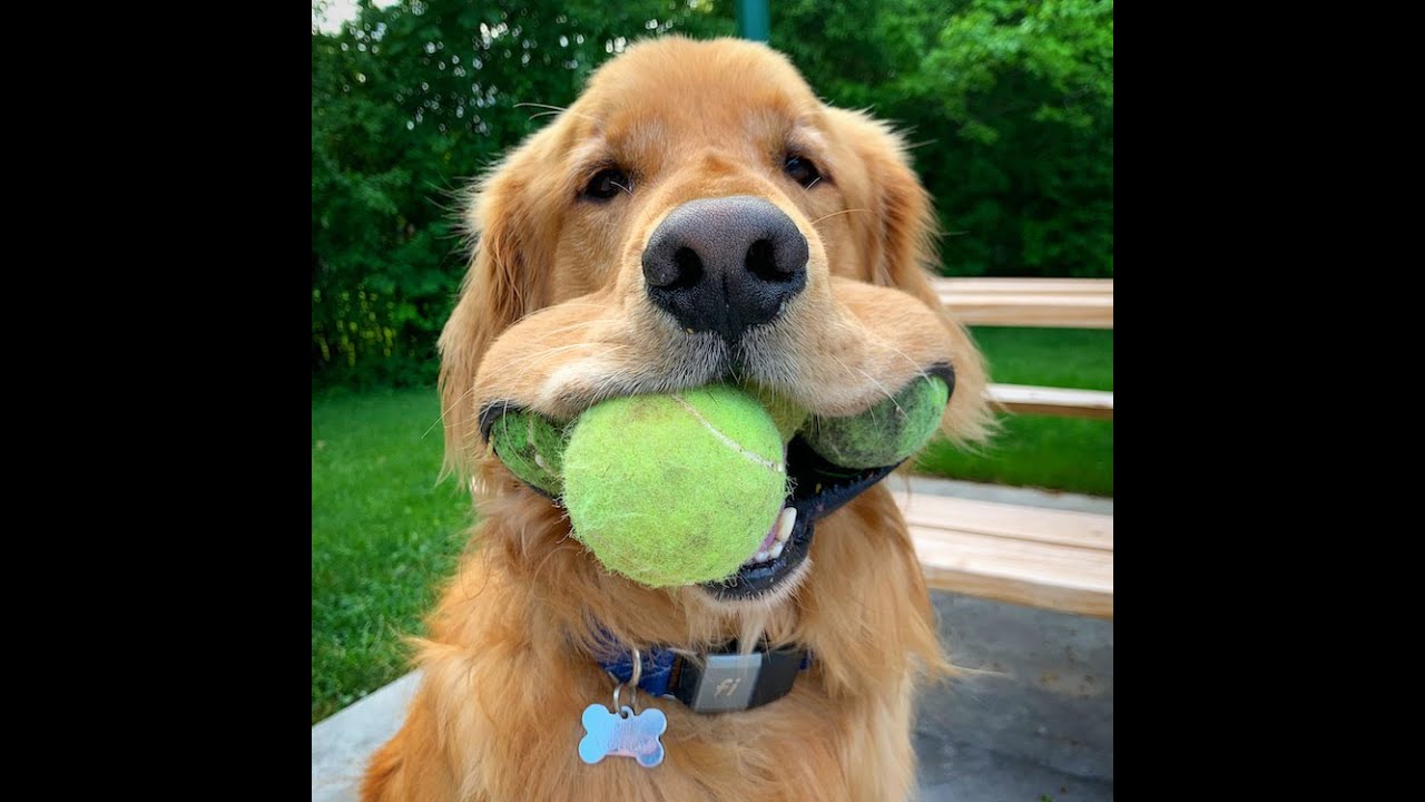 Theo's Balls Both Parts - YouTube