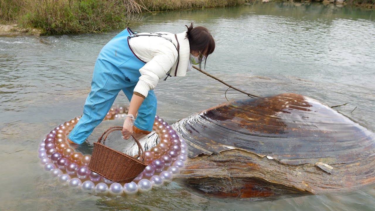 😱The magical river clam, when opened, turns out to be a treasure trove ...